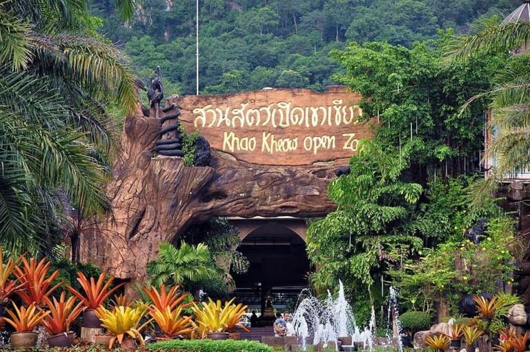 Meet Moodeng: The Pygmy Hippo Charming Visitors at Khao Kheow Zoo ...
